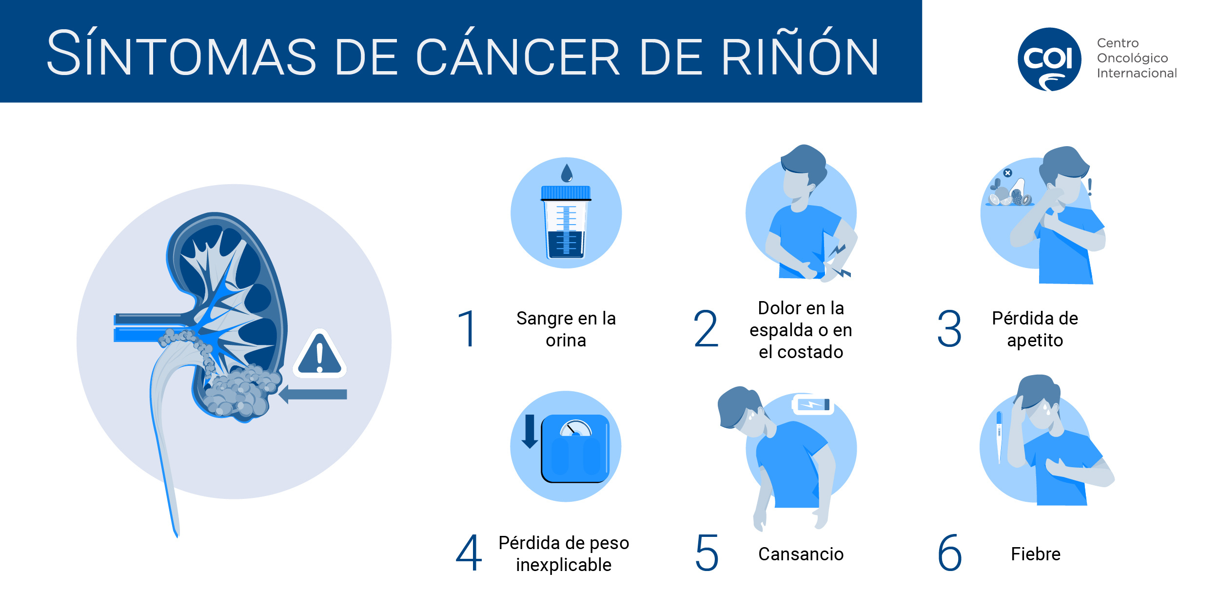 ¿Cuáles son los síntomas del Cáncer de Riñón? [¿Cuándo acudir con tu ...